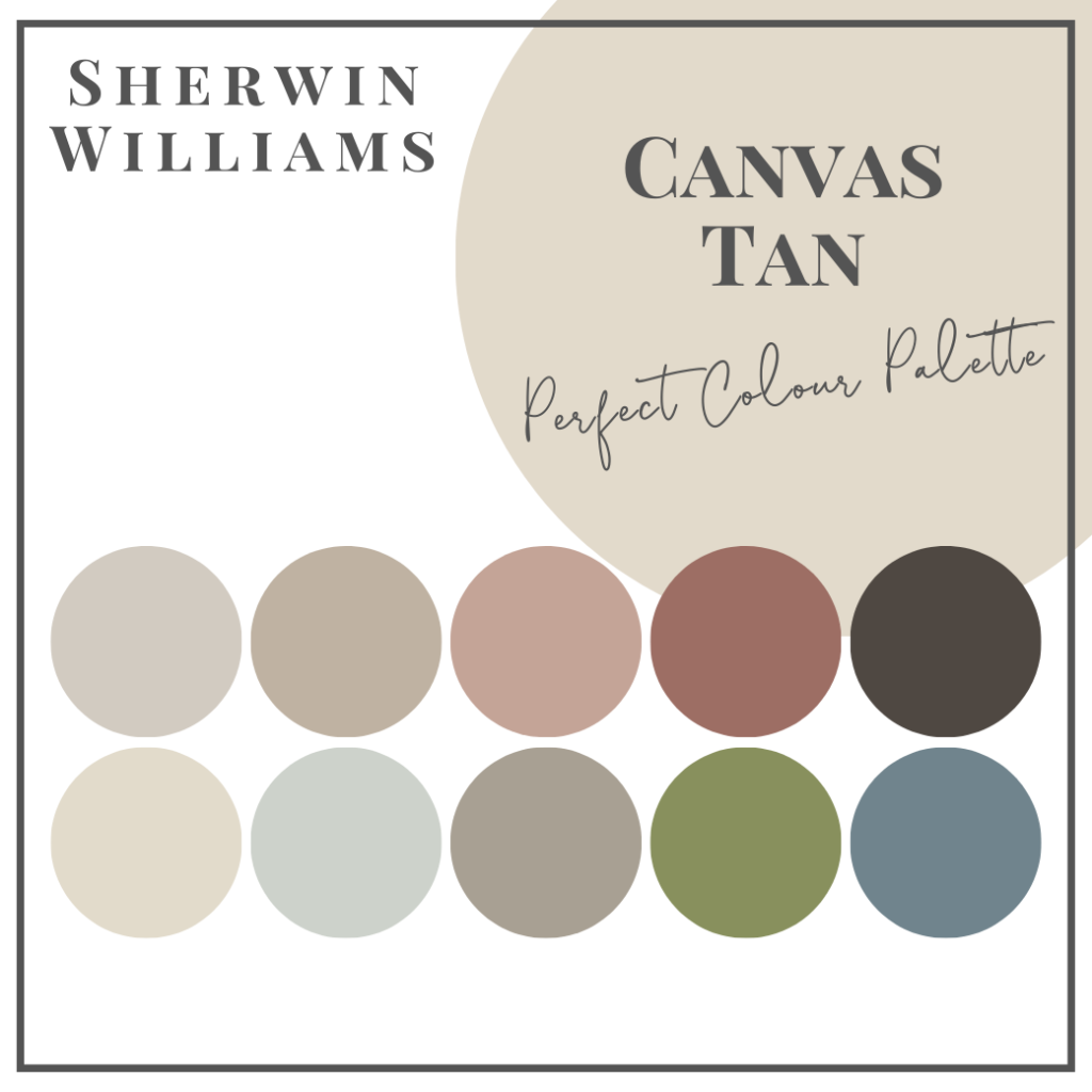 Canvas Tan - Perfect Colour Palettes - Claire Jefford