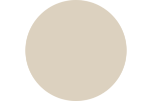 Sherwin Williams Canvas Tan Colour Review by Claire Jefford